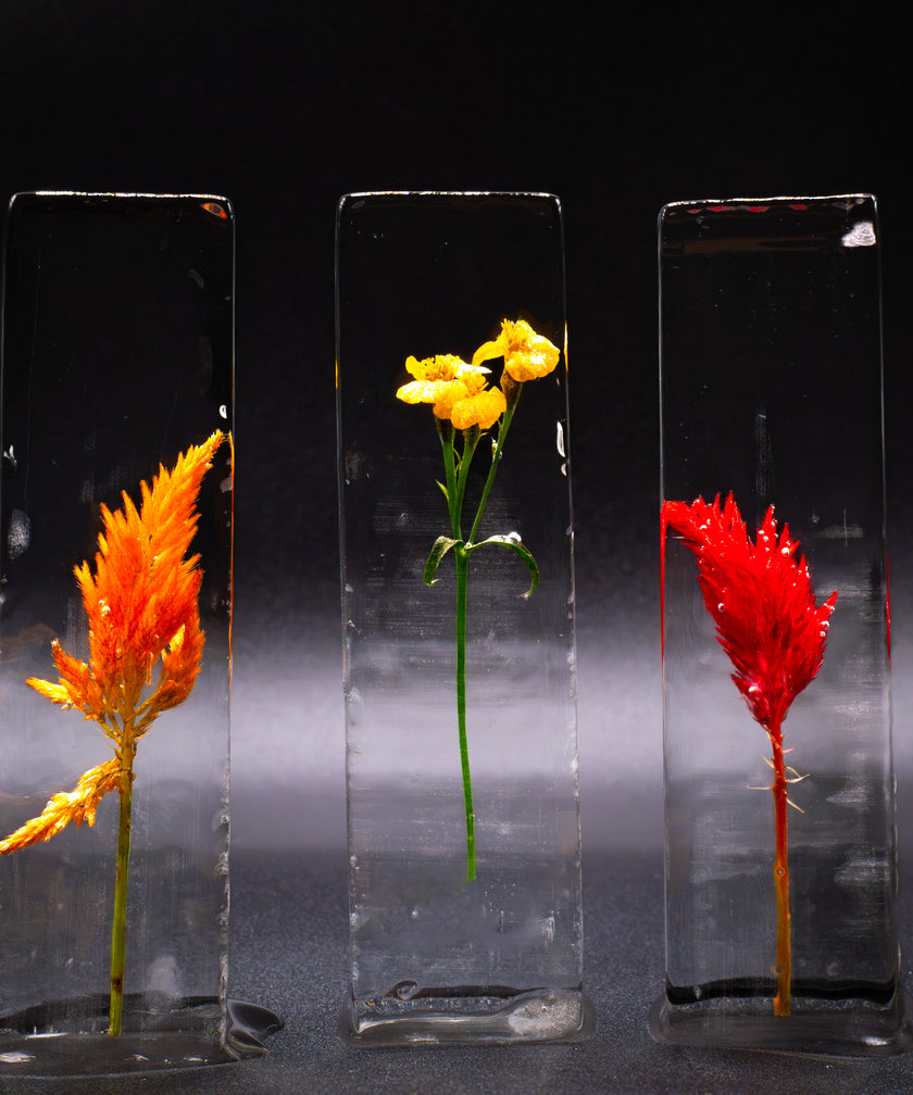 All Products – Clear Ice Company