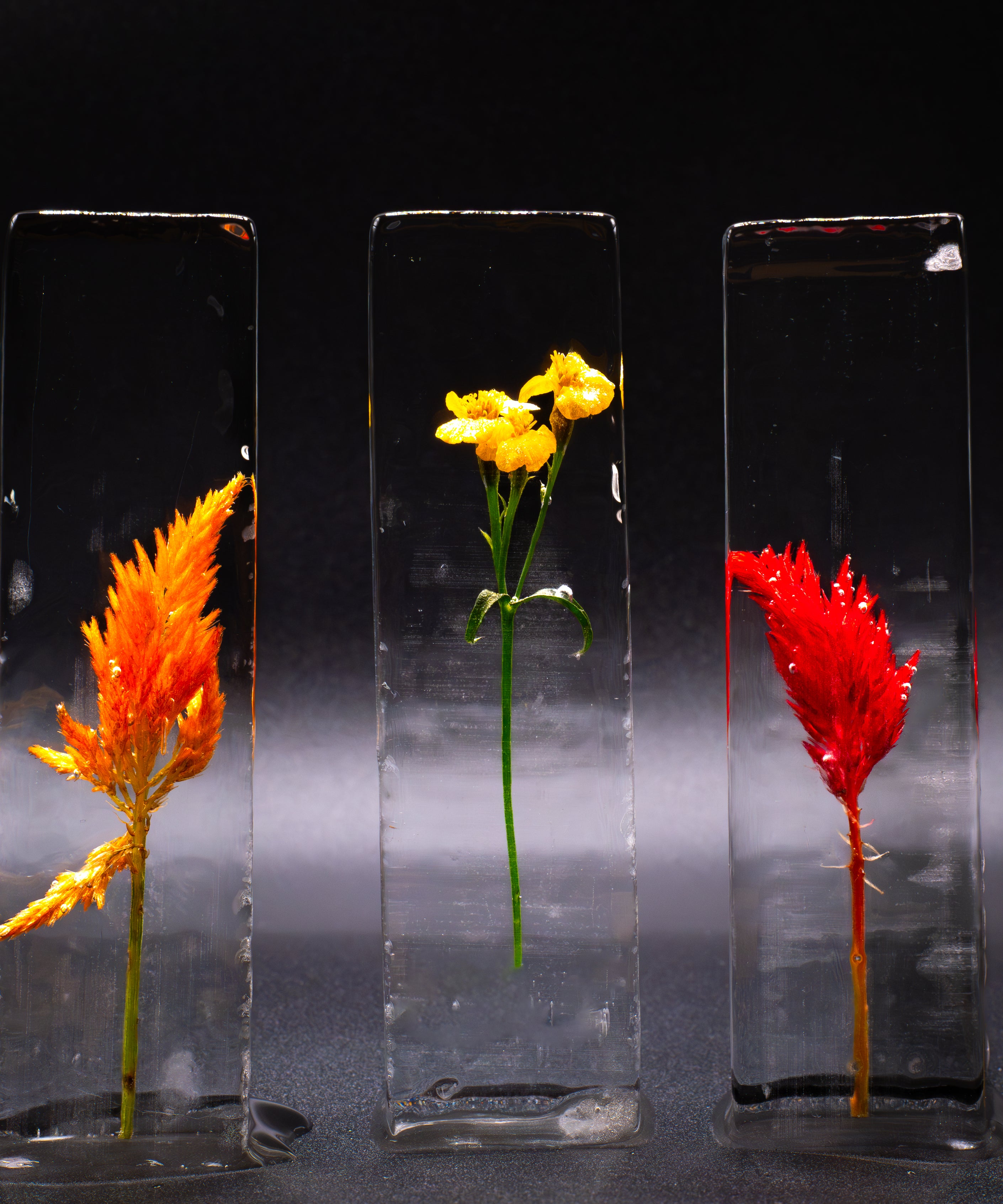 Products – Clear Ice Company